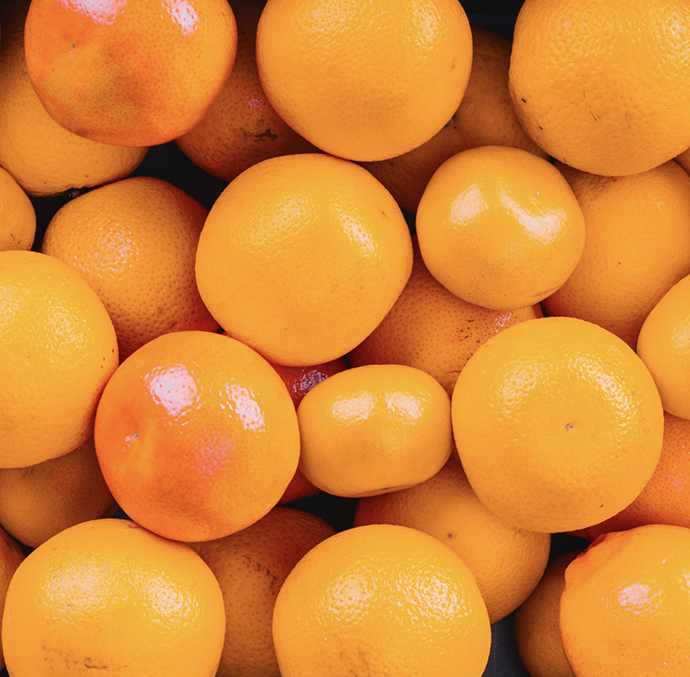 Mulyam - Fresh Produce Platform